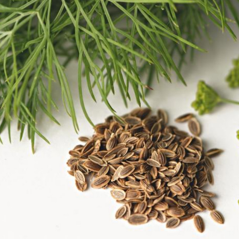Rajo Care – Ayurvedic PCOS Supplement for Hormonal Balance